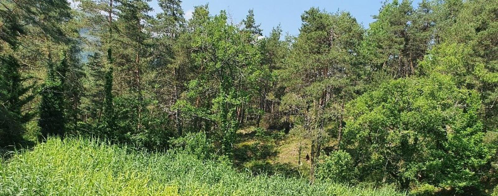 Cartographie PDF des STEP | Eau 06